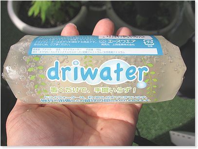 ゴーヤ日記2015⑤ DRiWATER(ドライウォーター) : 番犬ハナとMIX犬サクのおさんぽ毎日