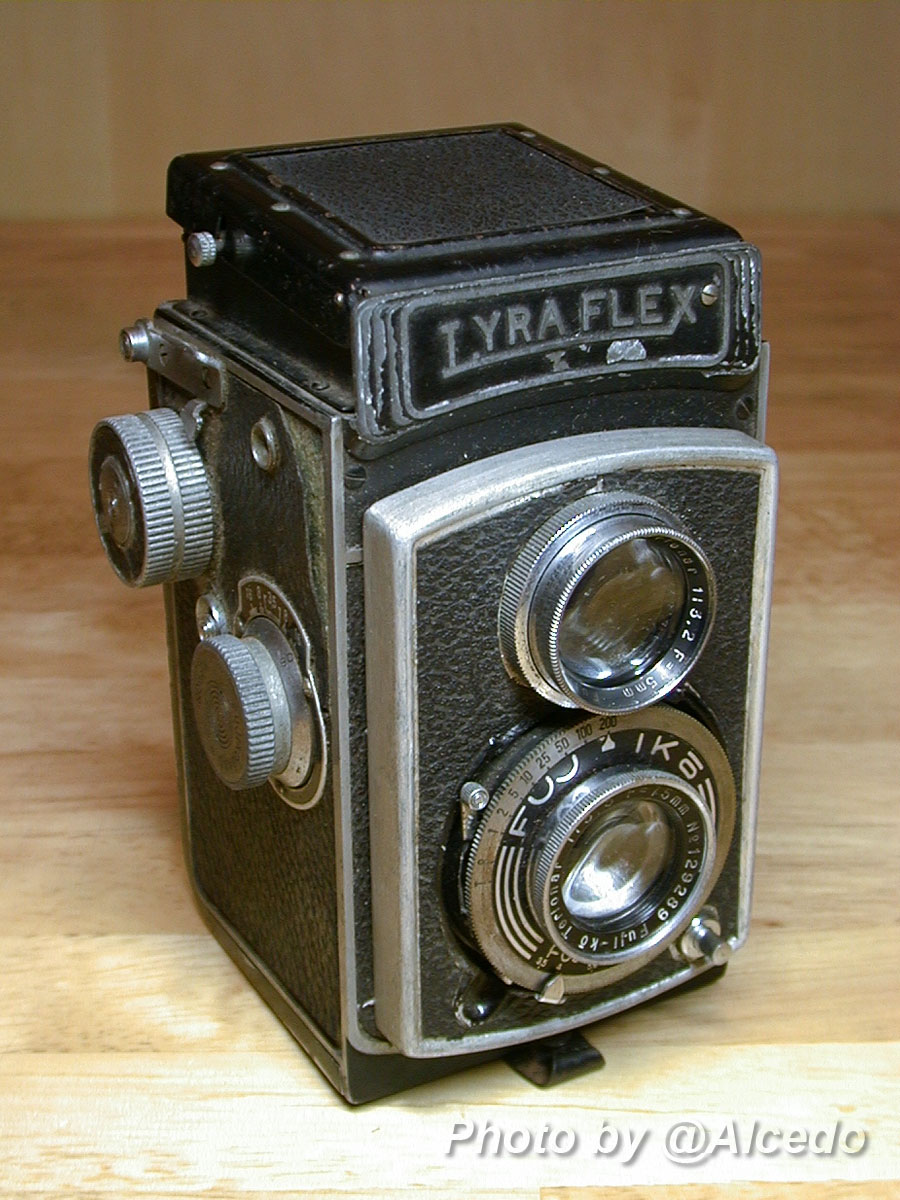 LYRAFLEX : カワセミ王国