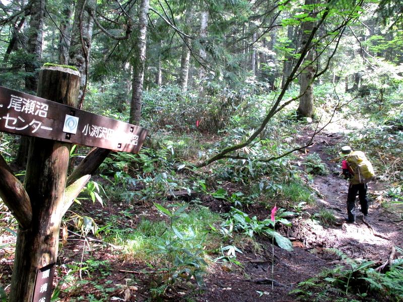 尾瀬 秋の尾瀬沼から鬼怒沼へテント泊縦走（前編） Ozenuma to Kinunuma in Oze National Park ...