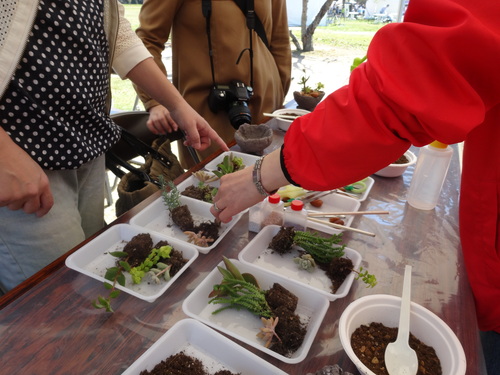 グリッピキャンペーン2015 その3 : 病院の庭