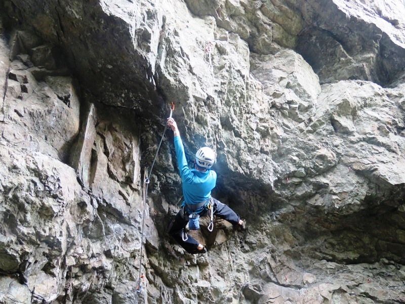 コウモリ谷 手ごわいネックエレキバンB : カメさんHの山バカ日誌3