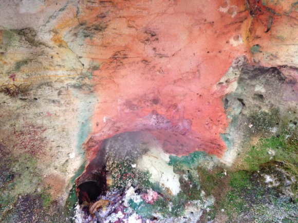 なるこ2−2 : Dicty、時々shrimp。