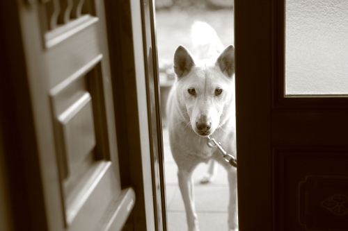 7years old : マトリョーシカ