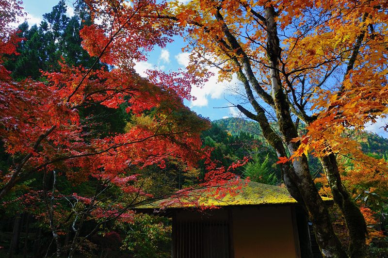 2015京都の紅葉・花背 峰定寺 : デジタルな鍛冶屋の写真歩記