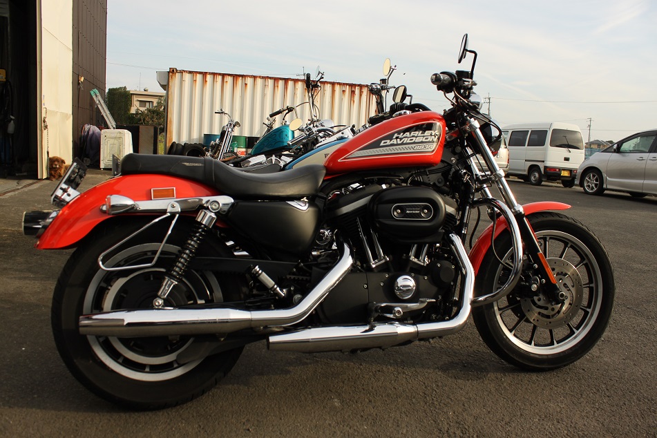 883R : NUTS CUSTOM CYCLES