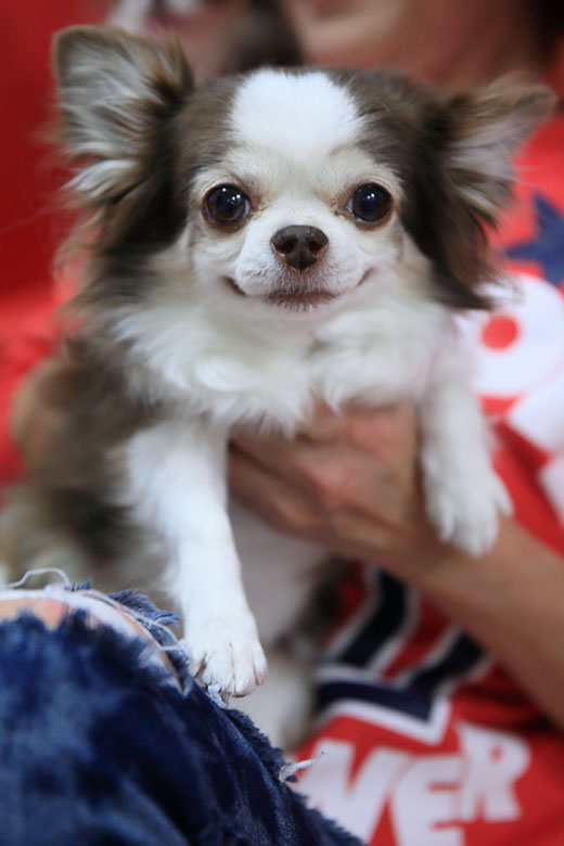 12月23日（水） 純真 : ほのぼの動物写真日記