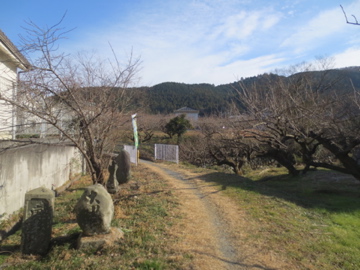 新春 梅の越生と大類ポタ 2 梅園神社、山吹の里など : じてんしゃでグルメ! 2