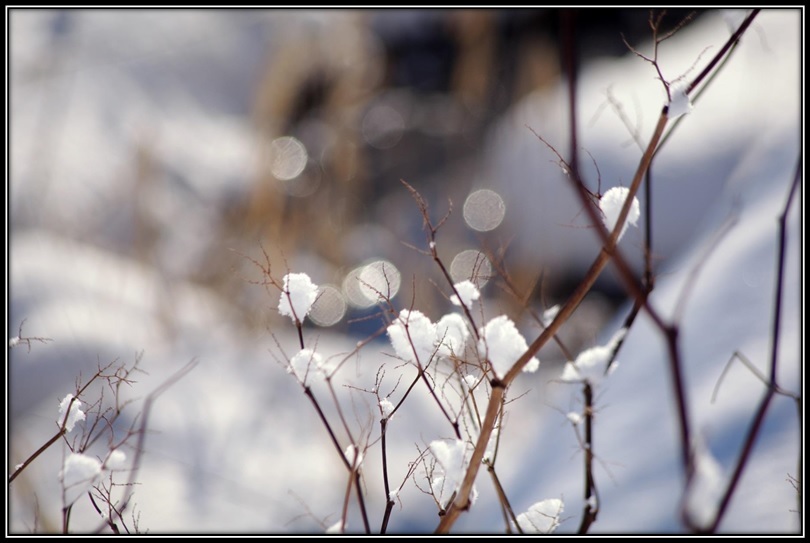 冬の日差し : 好い加減に過ごす2