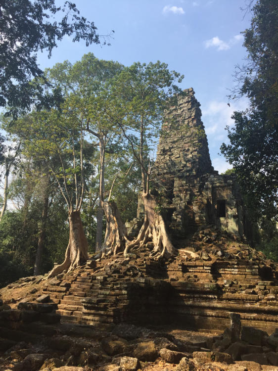 アンコールワットへ4（アンコールトム内じっくり） : リタイア夫と空の旅、海の旅、二人旅