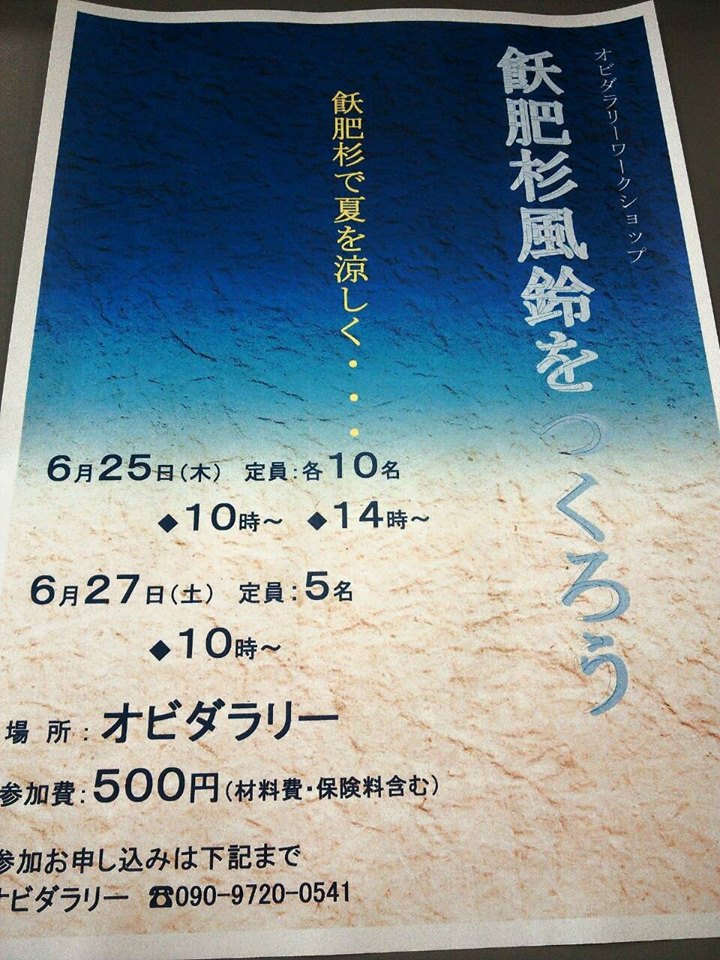 オビダラリーのワークショップ : オビダラ日記～飫肥杉ダラケのまちづくり～