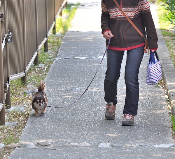 タート3日目 : AR75TS