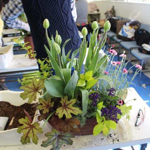 横浜イングリッシュガーデンの寄せ植え講習会 : 井上まゆ美のお仕事日和