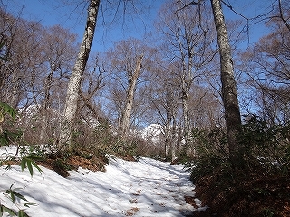 白山大白川ワリ谷源頭ボウル : blog版 がおろ亭