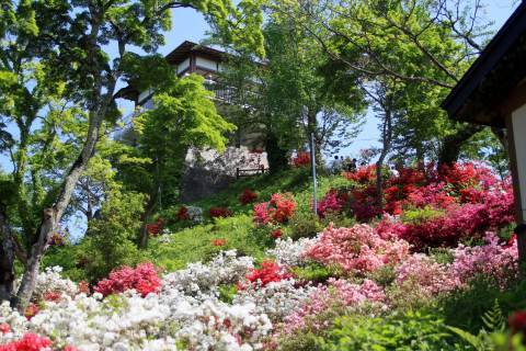 New FD 35-105mm F3.5について : FDレンズ を EOSへ