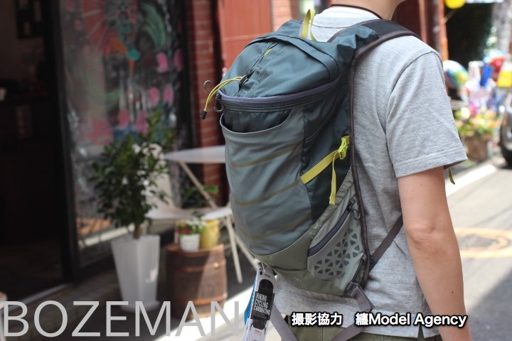 boreas Larkin : BOZEMANのブログ