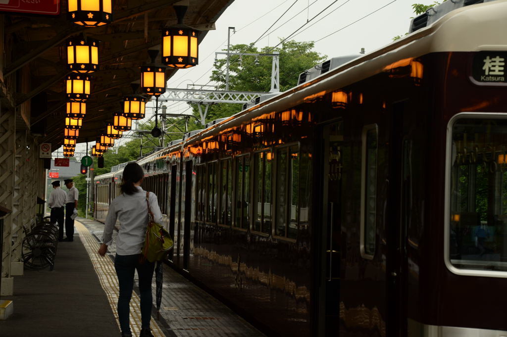 祇王寺から大覚寺へ : わらび徒然