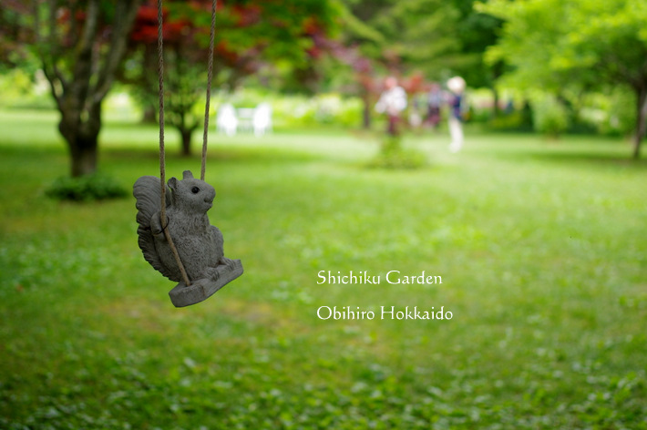 北海道 花の旅 : Sweet Davy