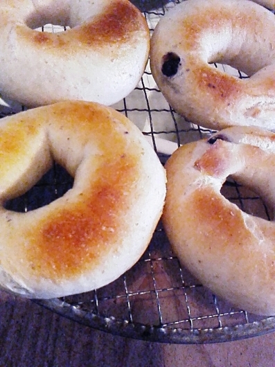 ブルーベリーベーグル : まめころ屋ブログ