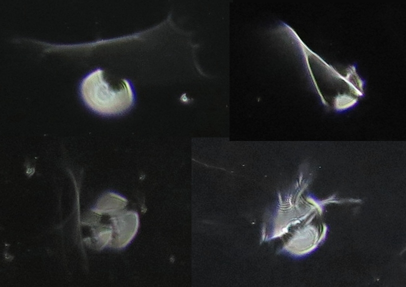 夜に写る未確認飛行物体 : 夢か現か幻か・・・