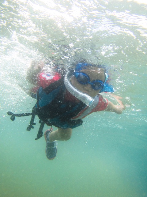 2016佐渡島の旅②⭐️ : ママとポコで行く～やまがた散歩道～