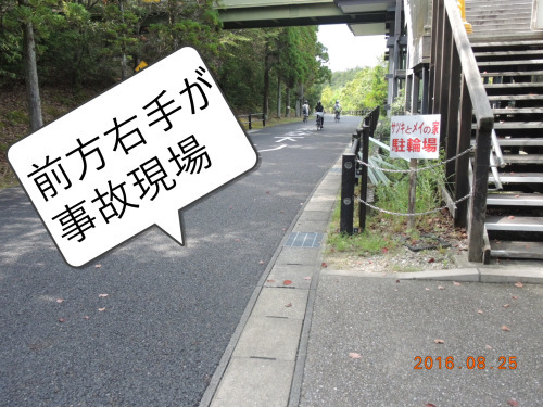 愛・地球博記念公園で死亡事故 : Hiroshiの自転車日記