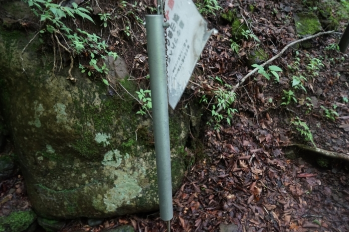 思いが育てた登山道＠篠井山 2016.06.10(金) : 『山』がまんなか