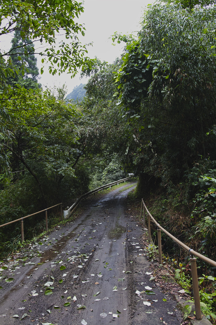 養老渓谷の梅ケ瀬渓谷を歩く～ヤマビルとの闘い～ : しゃしん三昧 ～趣味カメラ、レクサス、着物の日々～