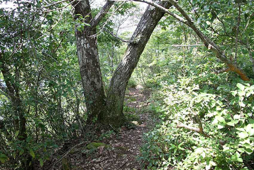 つるぎ町「立石山大明神」♪ : すえドンのフォト日記