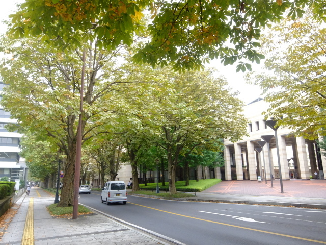 宇都宮ぶらり散歩 : ペンギンの足跡Ⅱ