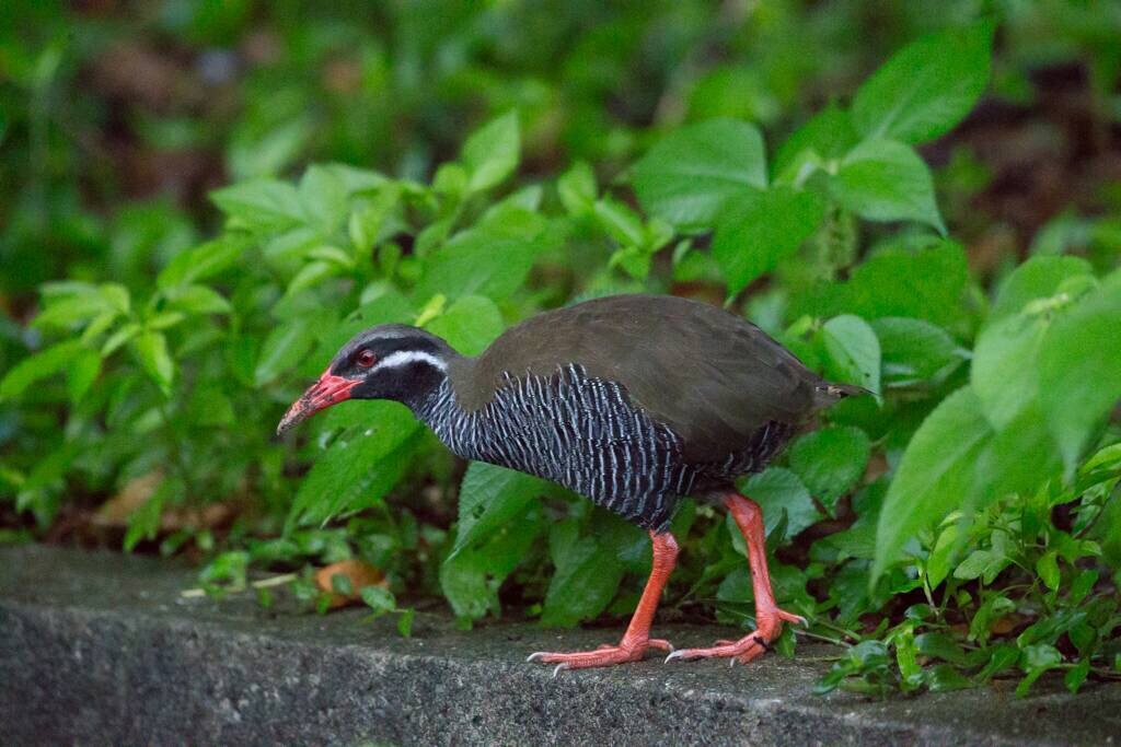 友人からのメール、色々。 : どんな人生も好き！