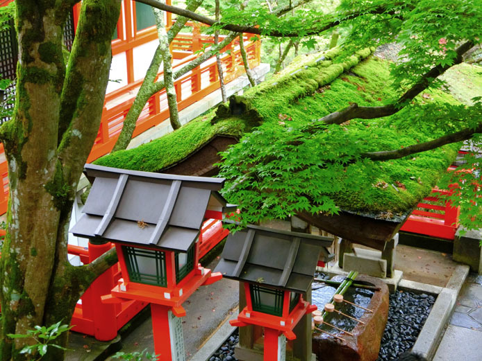 鞍馬寺にて : TOM'S Photo