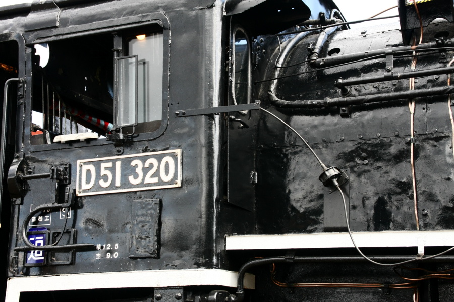安平町鉄道資料館のD51 320 : 東奔北走
