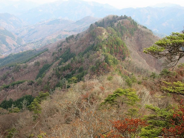 神流町 サスの峰から栗原山へゴジラの背のようなサス尾根を歩く Mount Sasunomine in Kanna, Gunma : やっぱり自然が好き