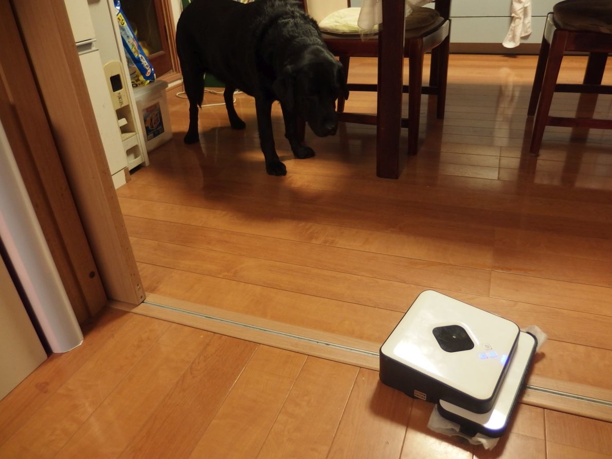 ジェードロボット掃除機だよ : 黒ラブJADEとランクル40