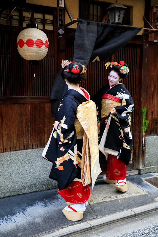新年の挨拶回り（上七軒・梅葉さん、梅ちえさん、梅ひなさん、梅叶菜さん） : 花景色－K.W.C. PhotoBlog