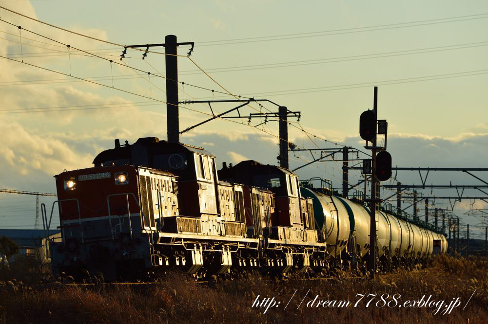 超ギラリ DD51 1146+1801 : HIROのフォトアルバム