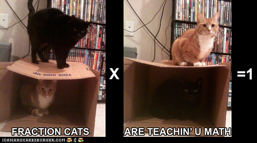 elucidate : 英単語資料（1000 most important wordsより）