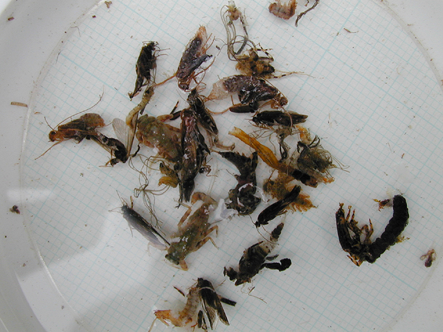 indoor fishing （能書） その1 : Out of Bounds / 境界線の向へ！