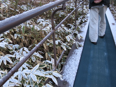 朝食。有馬山叢御所別墅にお邪魔。 : rodolfoの決戦＝血栓な日々