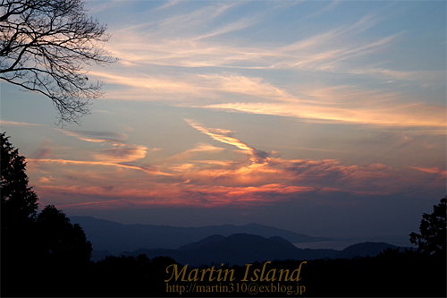 18メートルの土留め柵改修工事・・・3ブロック目はまだ途中です。 : Martin Island ～空と森と水と～