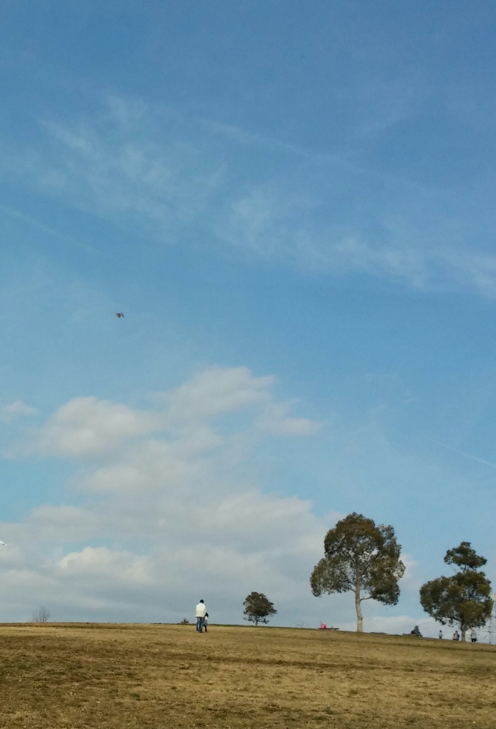 そして最後は見慣れた風景 : ありがとうの毎日に♪