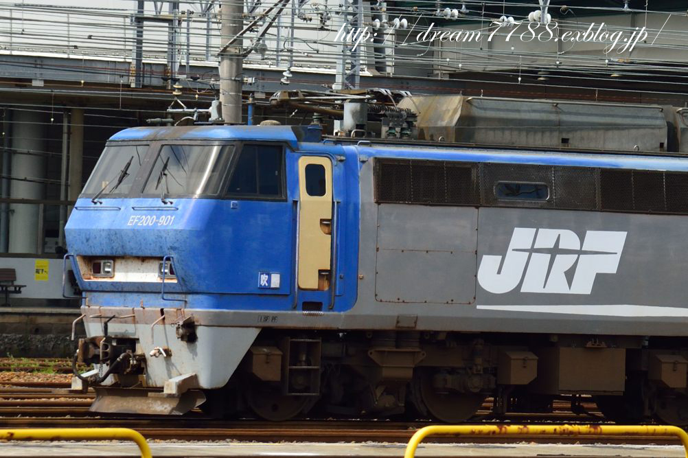クジラのクマイチEF200-901 : HIROのフォトアルバム