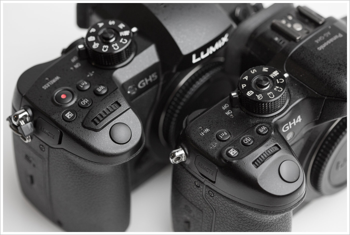 Panasonic DC-GH5 第一印象 : エクランの撮影日記 Panasonic DC-GH5 第一印象 : エクランの撮影日記