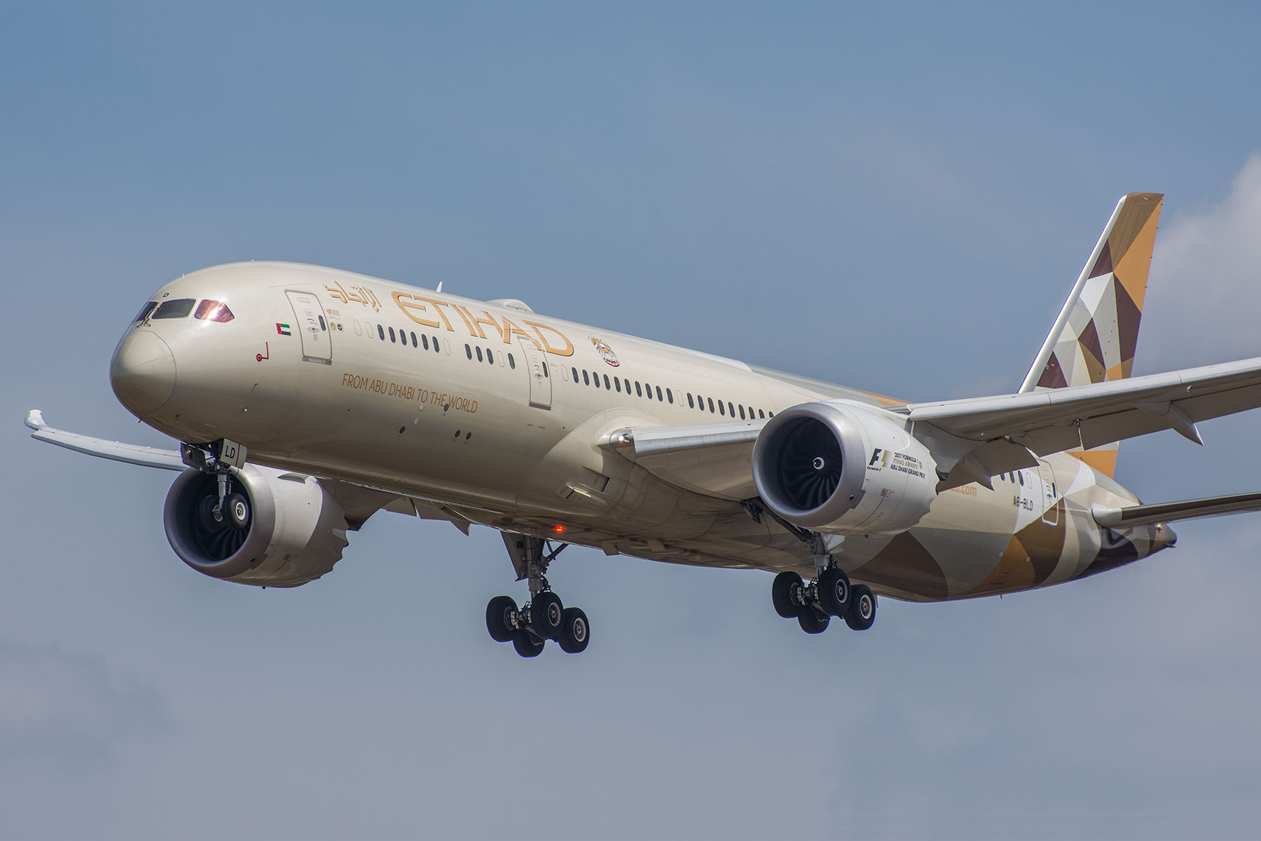 BOEING 787-9 / A6-BLD : SKY LOUNGE GARDEN -transporter side-