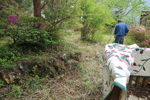 ゴールデンウイーク後半 : Dolly Doll