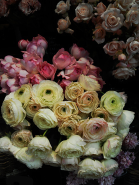 転換期 : マニのインド占星術鑑定