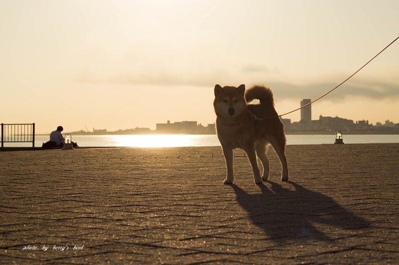 One ･ｪ･ derful day♪ -JUNE- : Berry's Bird