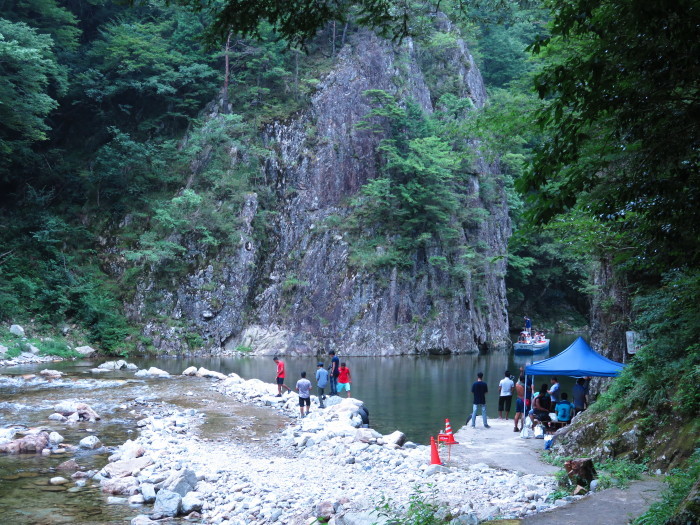 三段峡に咲く花 : プーのママ・日々是好日