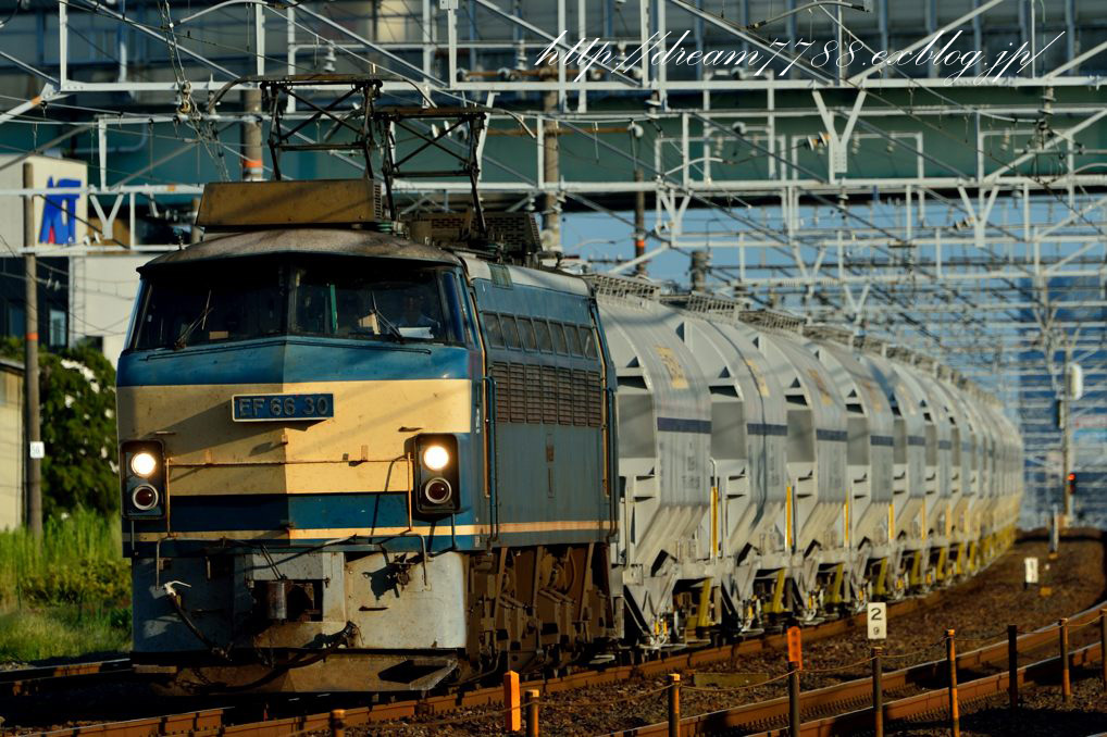 EF66-30+白ホキ : HIROのフォトアルバム