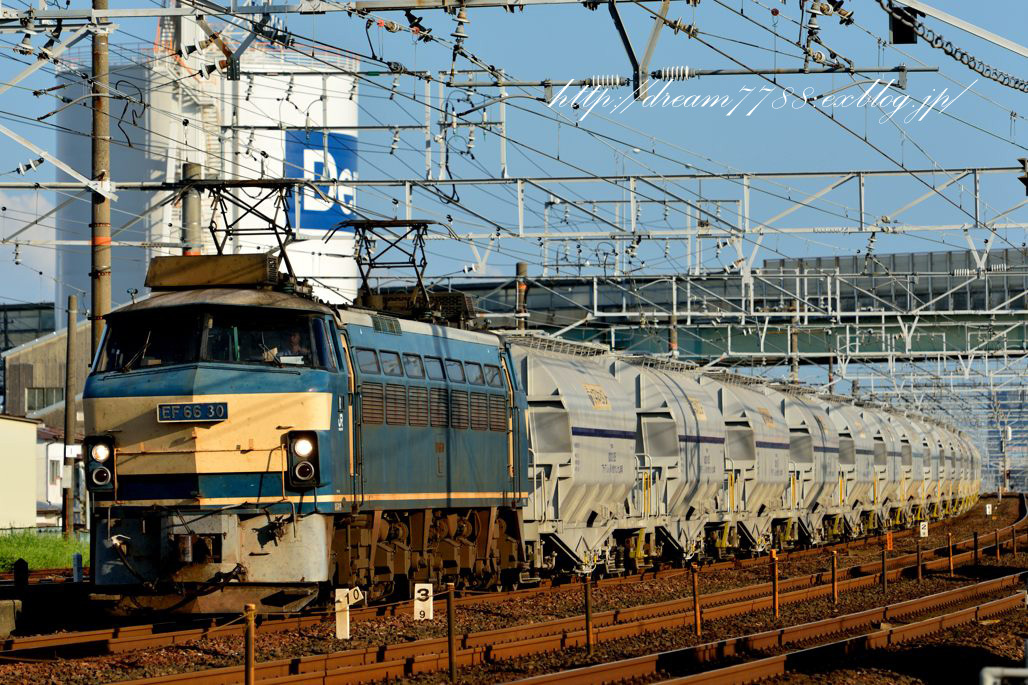 EF66-30+白ホキ : HIROのフォトアルバム